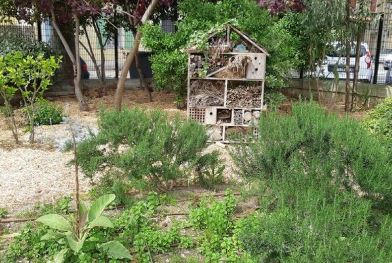 JARDIN SAINT-PAUL | Label EcoJardin