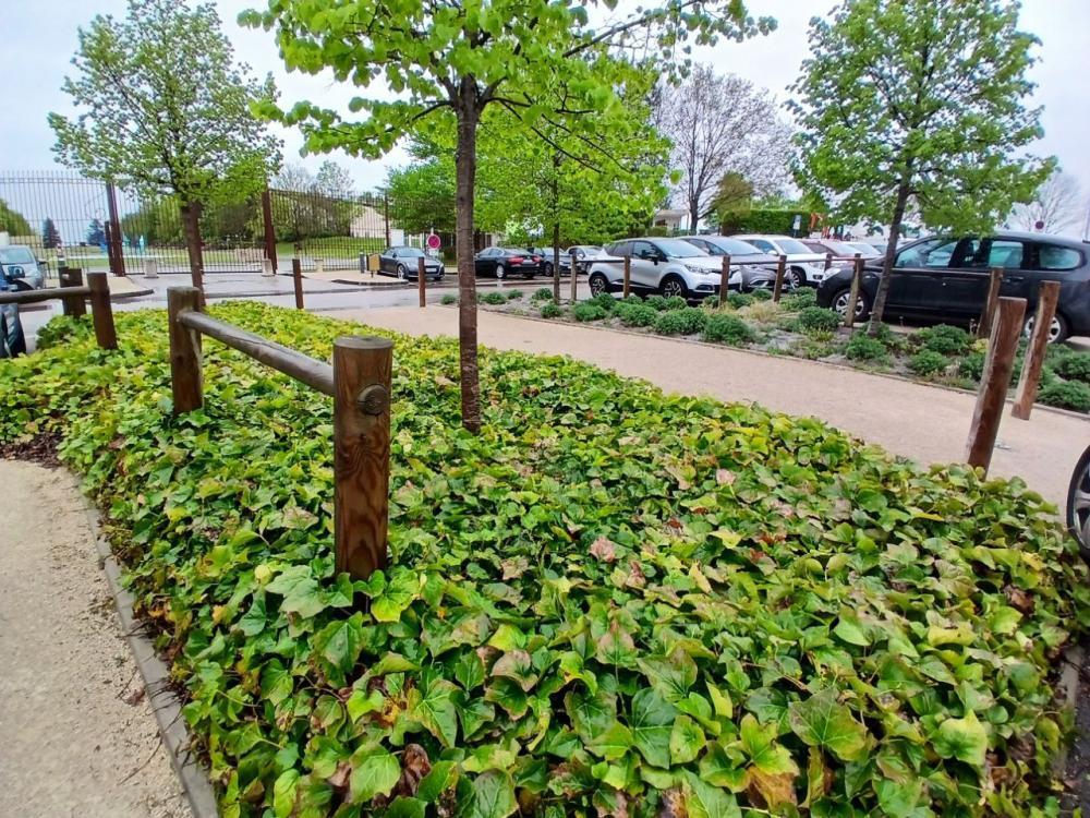 Site Funéraire Métropolitain Dijon Mirande | Label EcoJardin